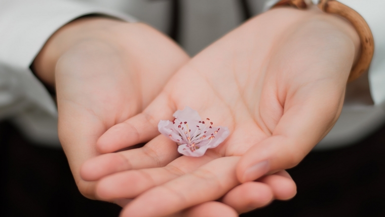 Eczéma main : Causes, symptômes, solutions naturelles